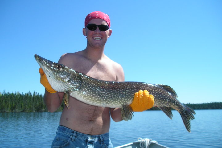 Musgrave Outpost - Wilderness North