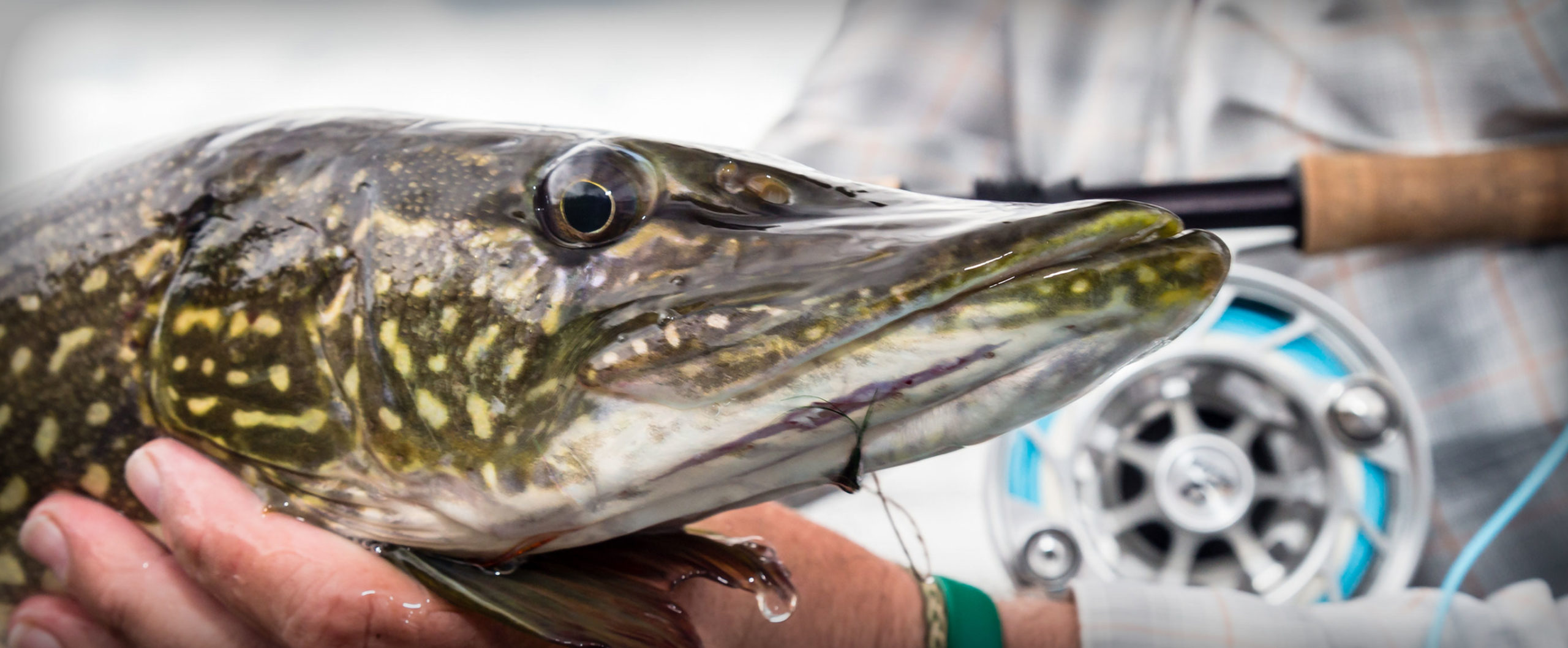 Fishing Lures For Pike - Wilderness North